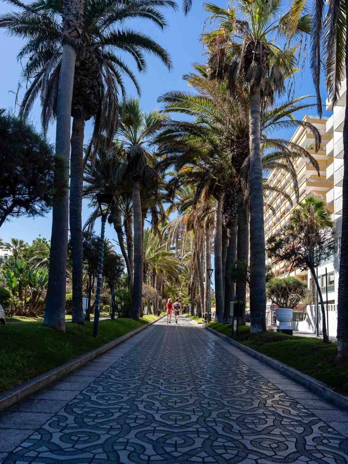 What to Do in Tenerife, Canary Islands • Nomads Picks