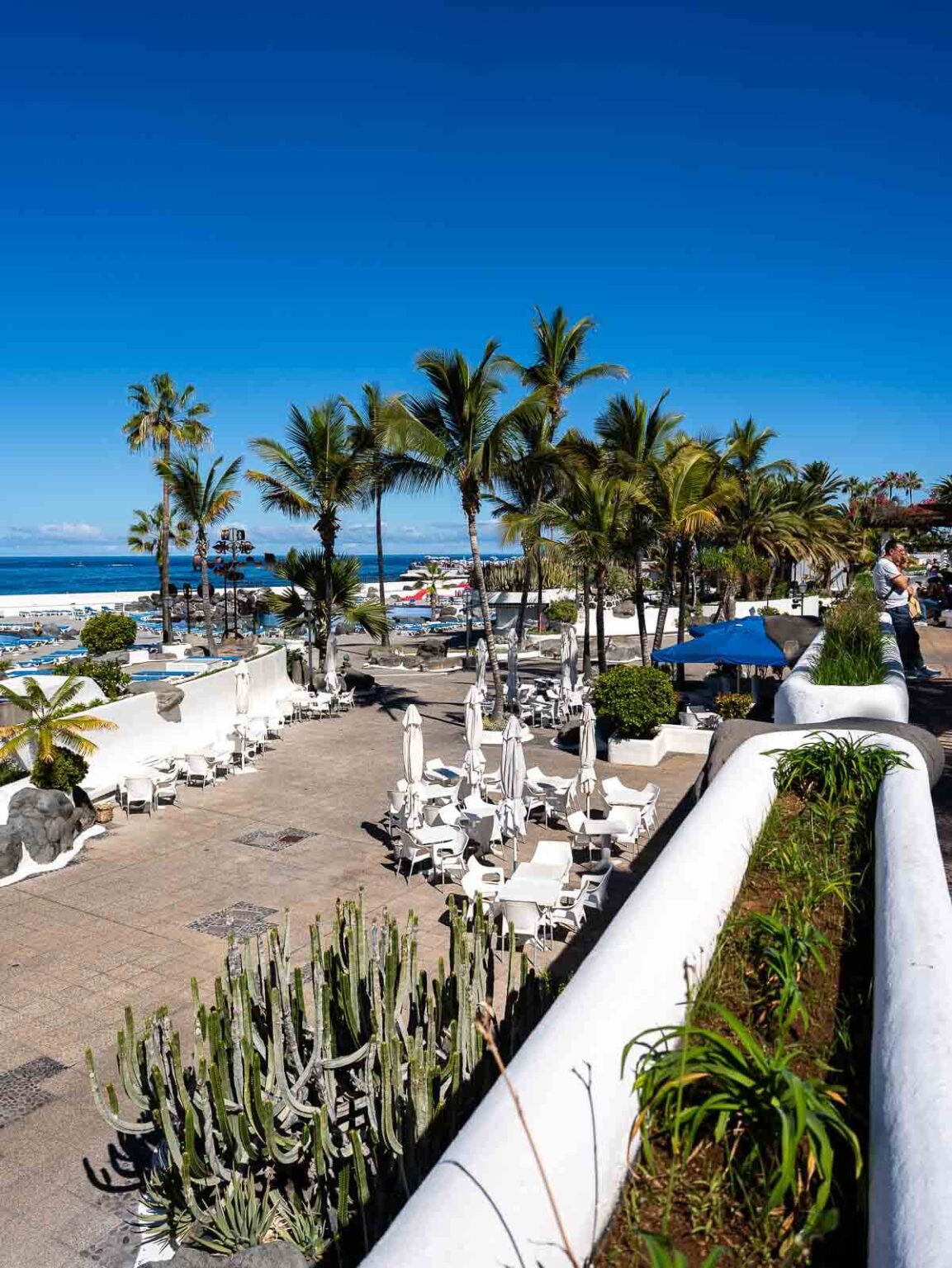 What to Do in Tenerife, Canary Islands • Nomads Picks